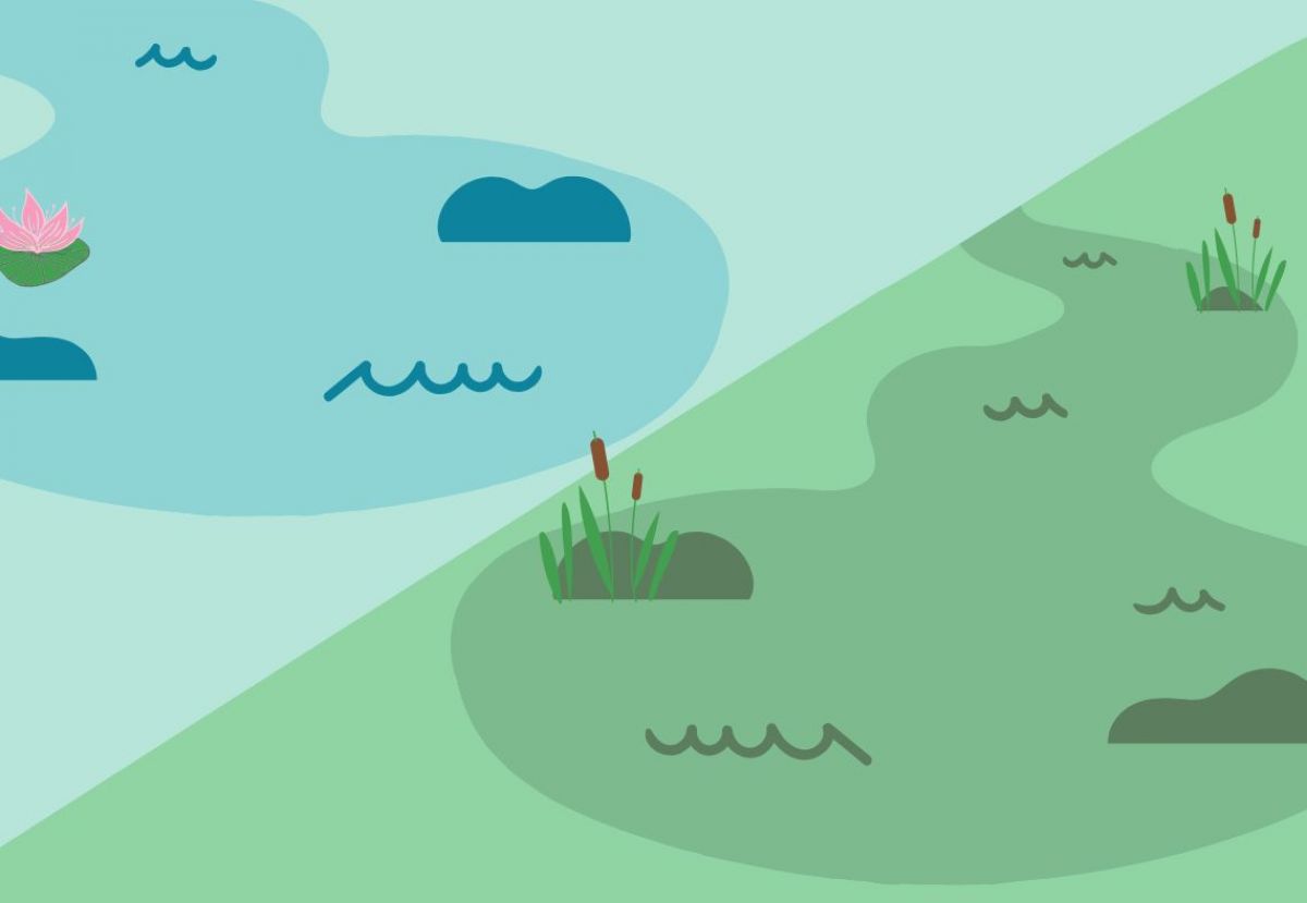 Hum - Data Lake - or Data Swamp?